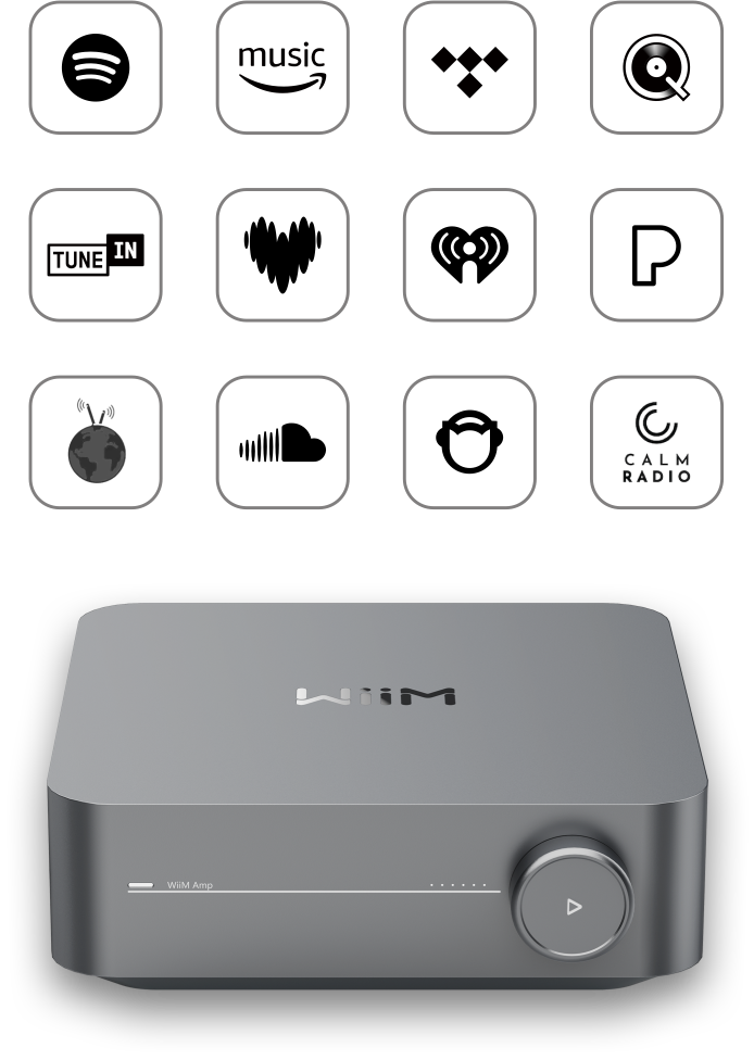 WiiM Amp | Versatile Streaming Amplifier: Stream Elegance, Amplify ...